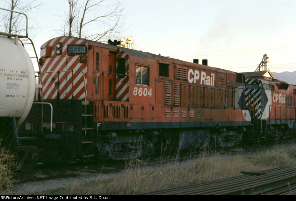 CP 8604